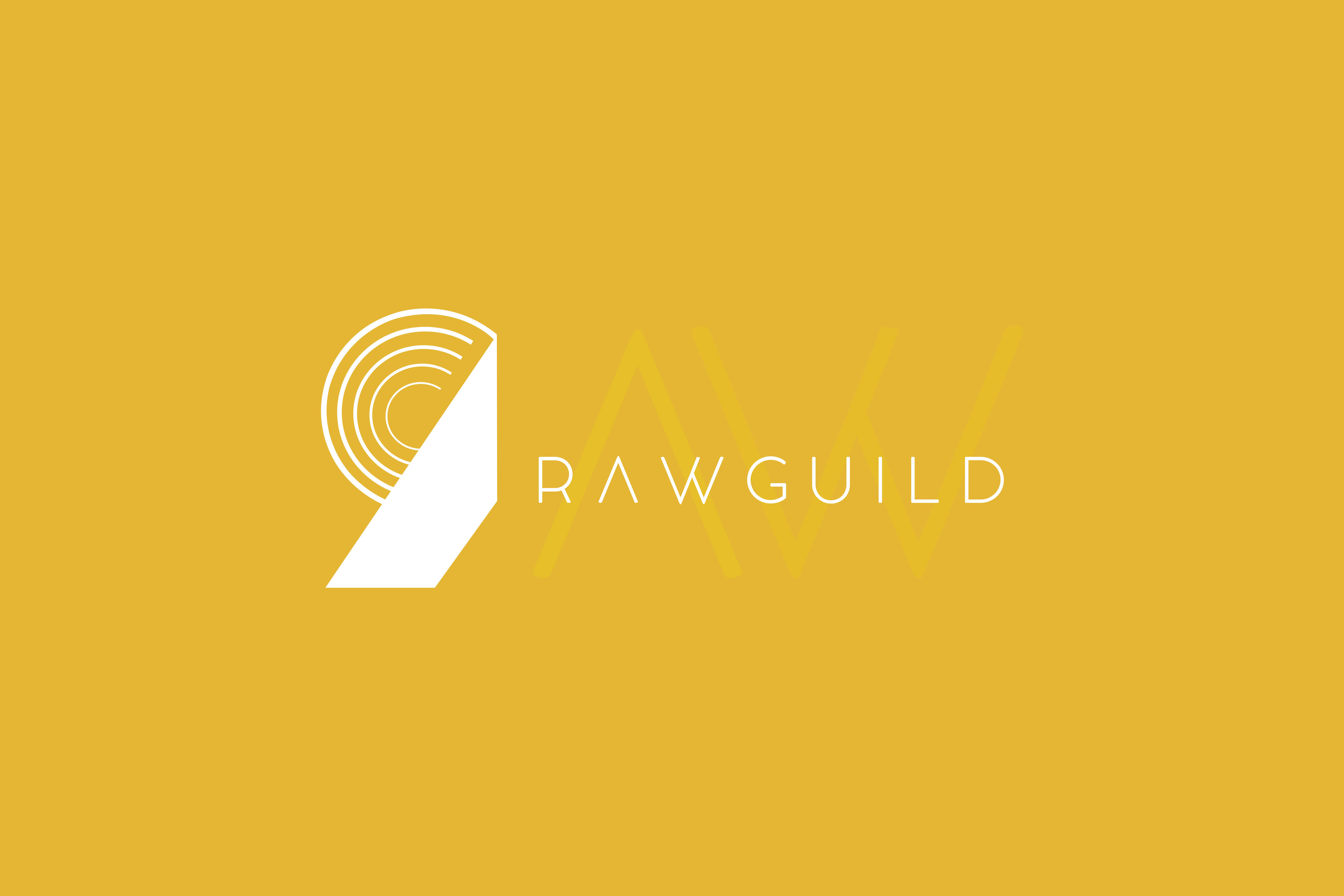 RAW GUILD STUDIOS, LLC